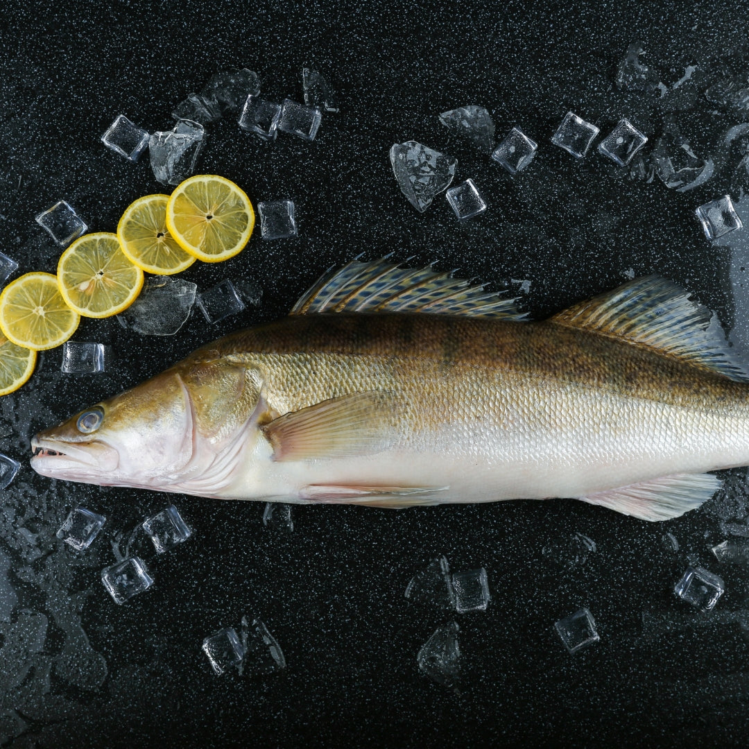 Köp rom och kaviar samt vildfångad fisk hos Swedish Wild
