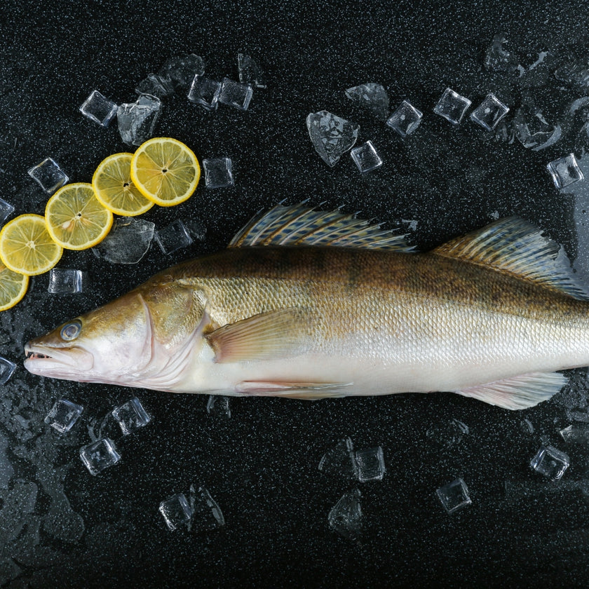 Köp rom och kaviar samt vildfångad fisk hos Swedish Wild